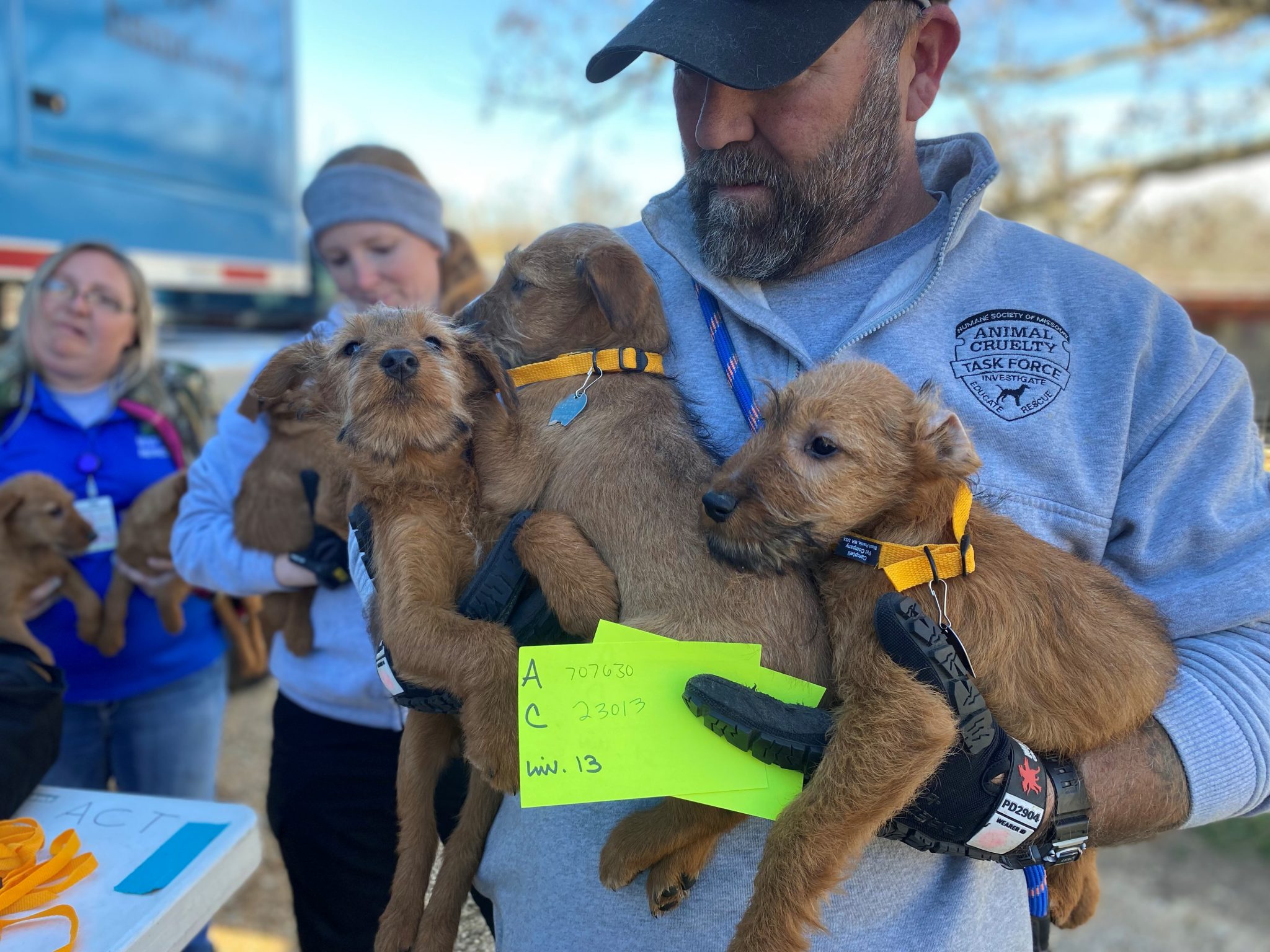 HSMO’s Animal Cruelty Task Force Rescues 42 Dogs and Puppies from ...