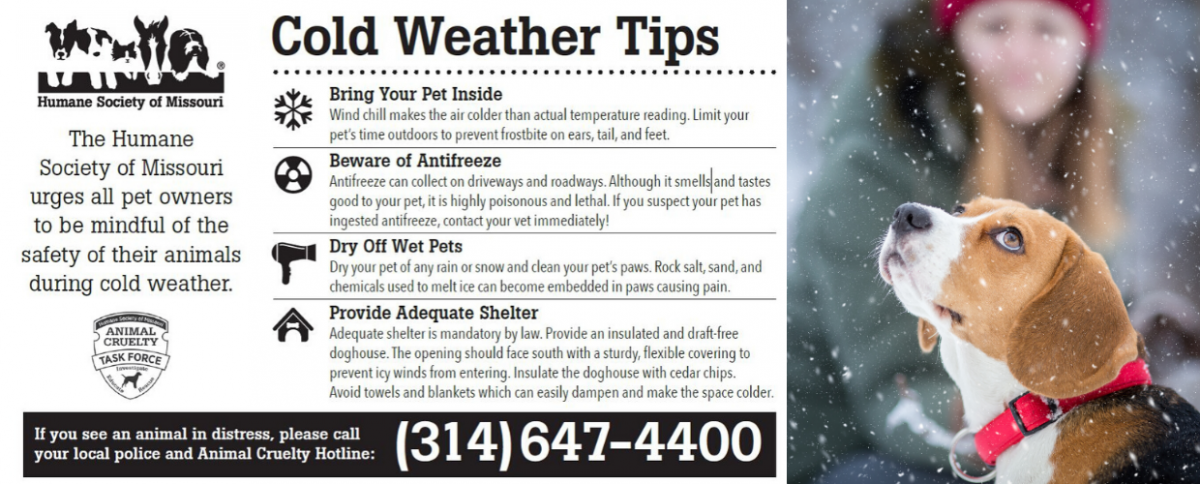Cold Weather Tips | Humane Society of Missouri