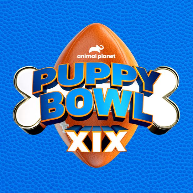 Animal Planet's Puppy Bowl: Meet Arwen! | Humane Society of Missouri