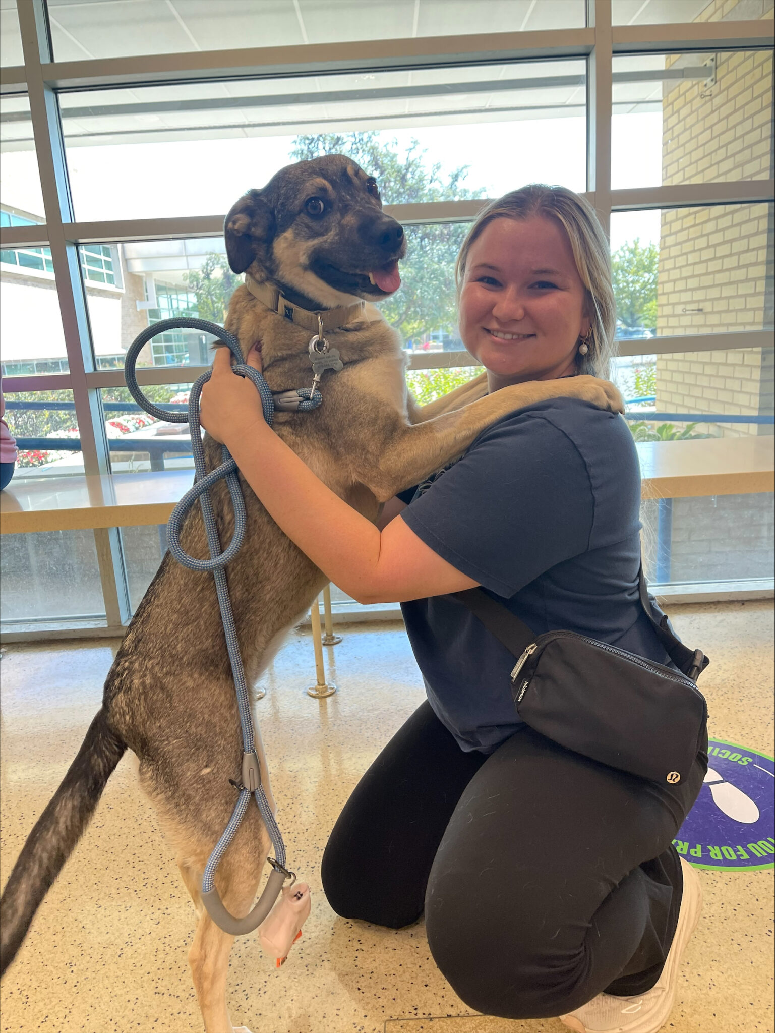 Adoption Story: Cleo | Humane Society of Missouri