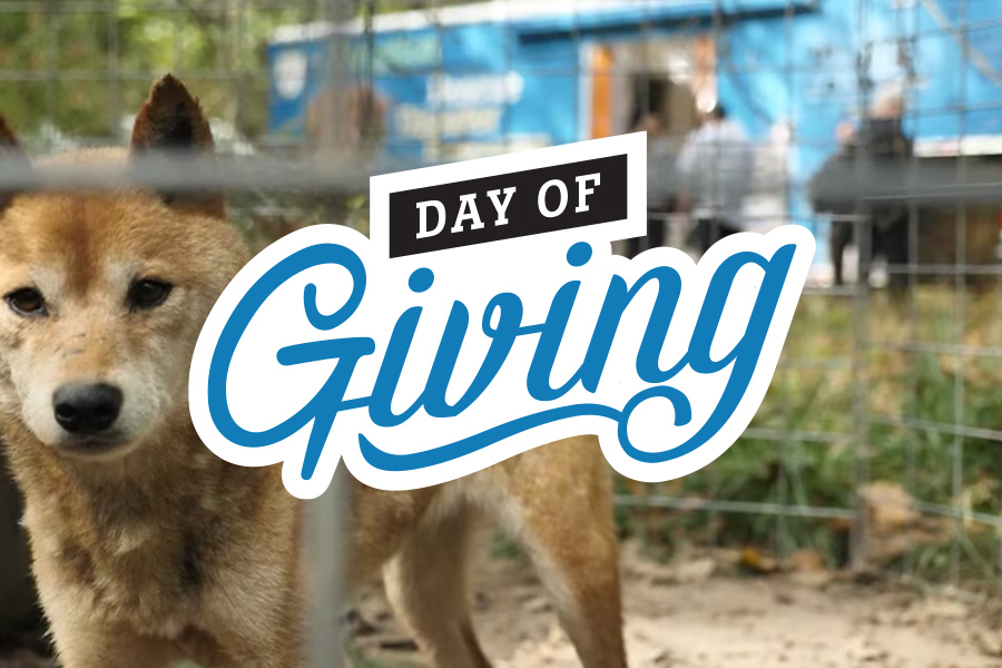Day of Giving | Humane Society of Missouri