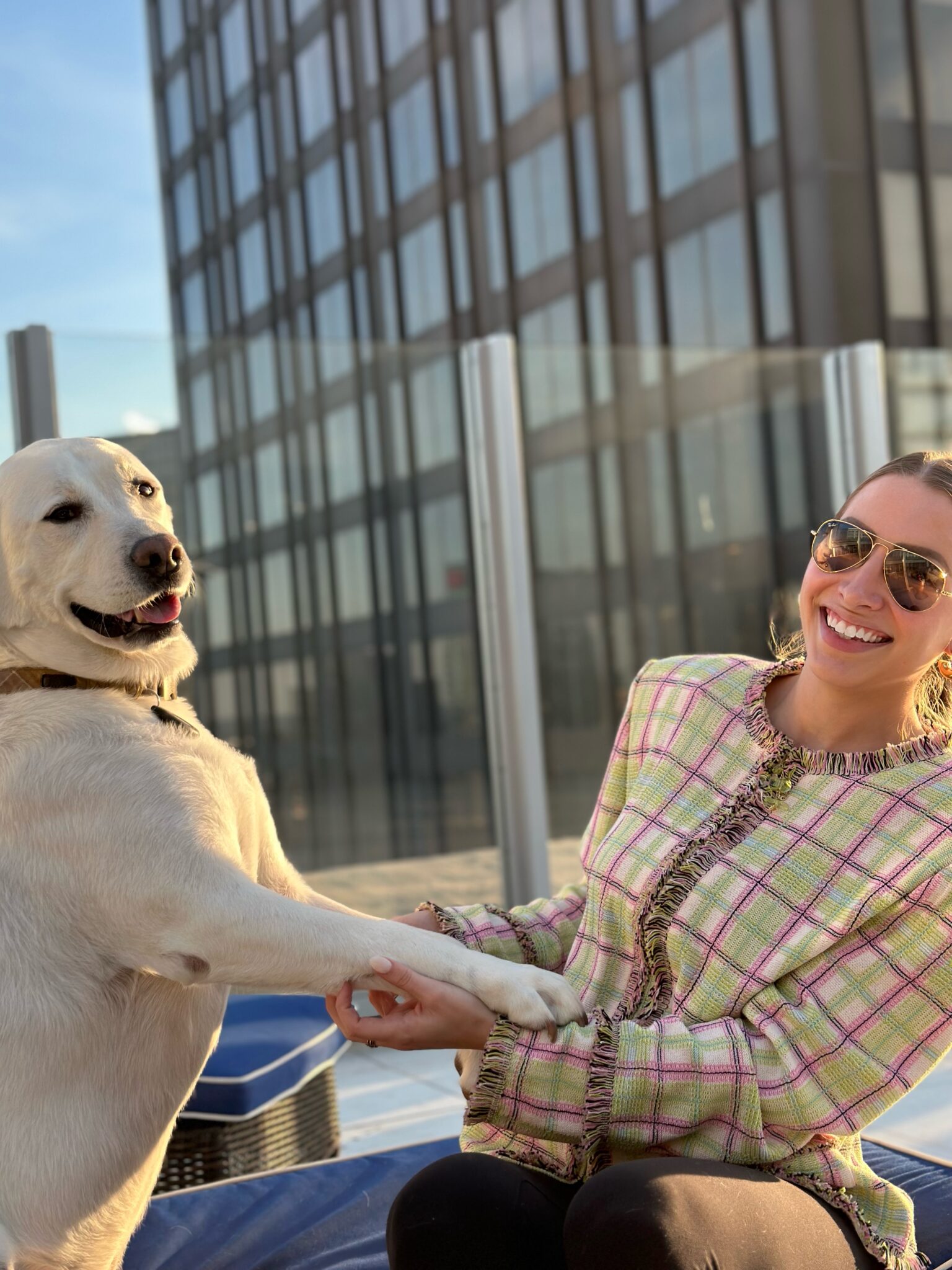 Volunteer Spotlight: Darcy Campbell | Humane Society of Missouri