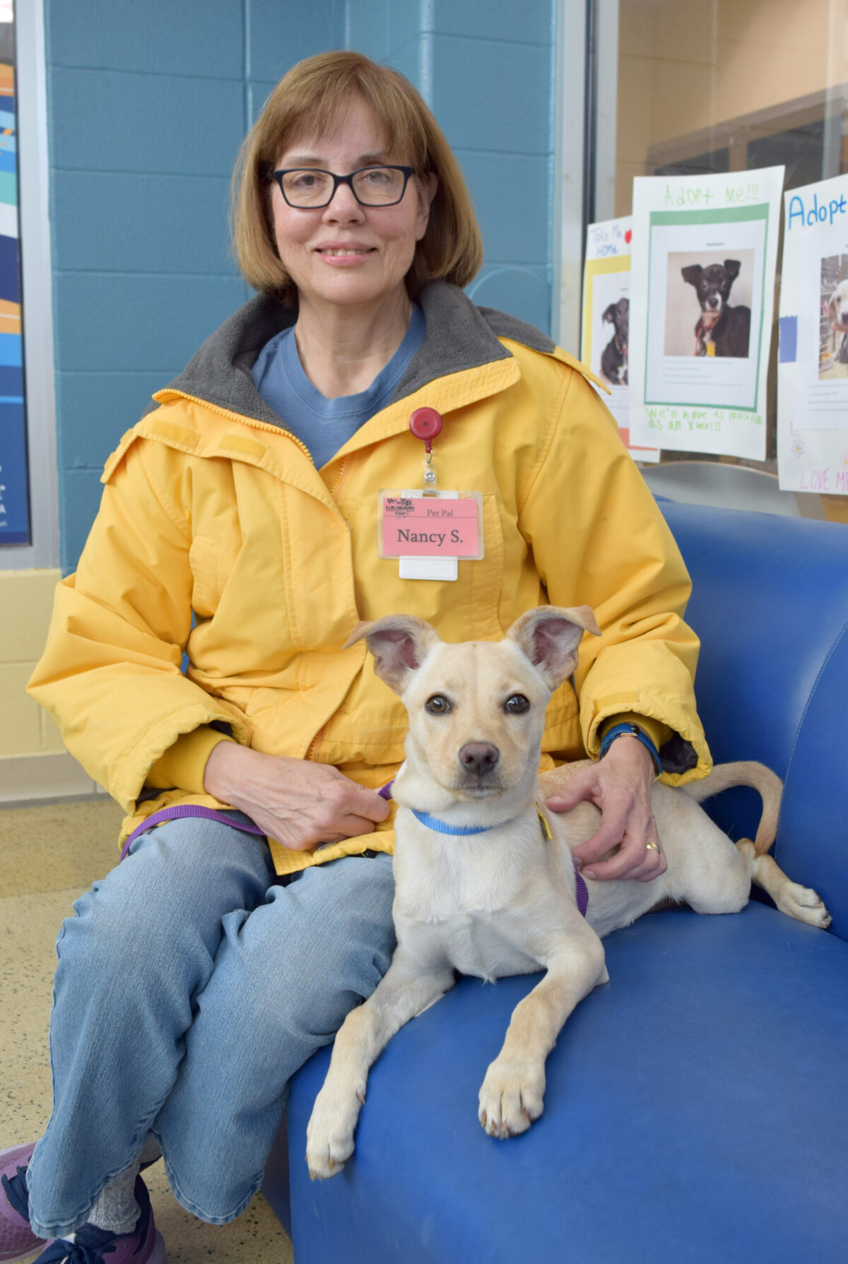 Volunteer Spotlight: Nancy Sebelski | Humane Society of Missouri