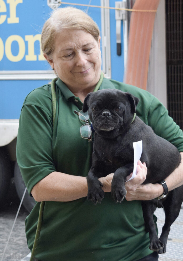 HSMO Rescues 62 Dogs Through National Mill Dog Rescue | Humane Society ...