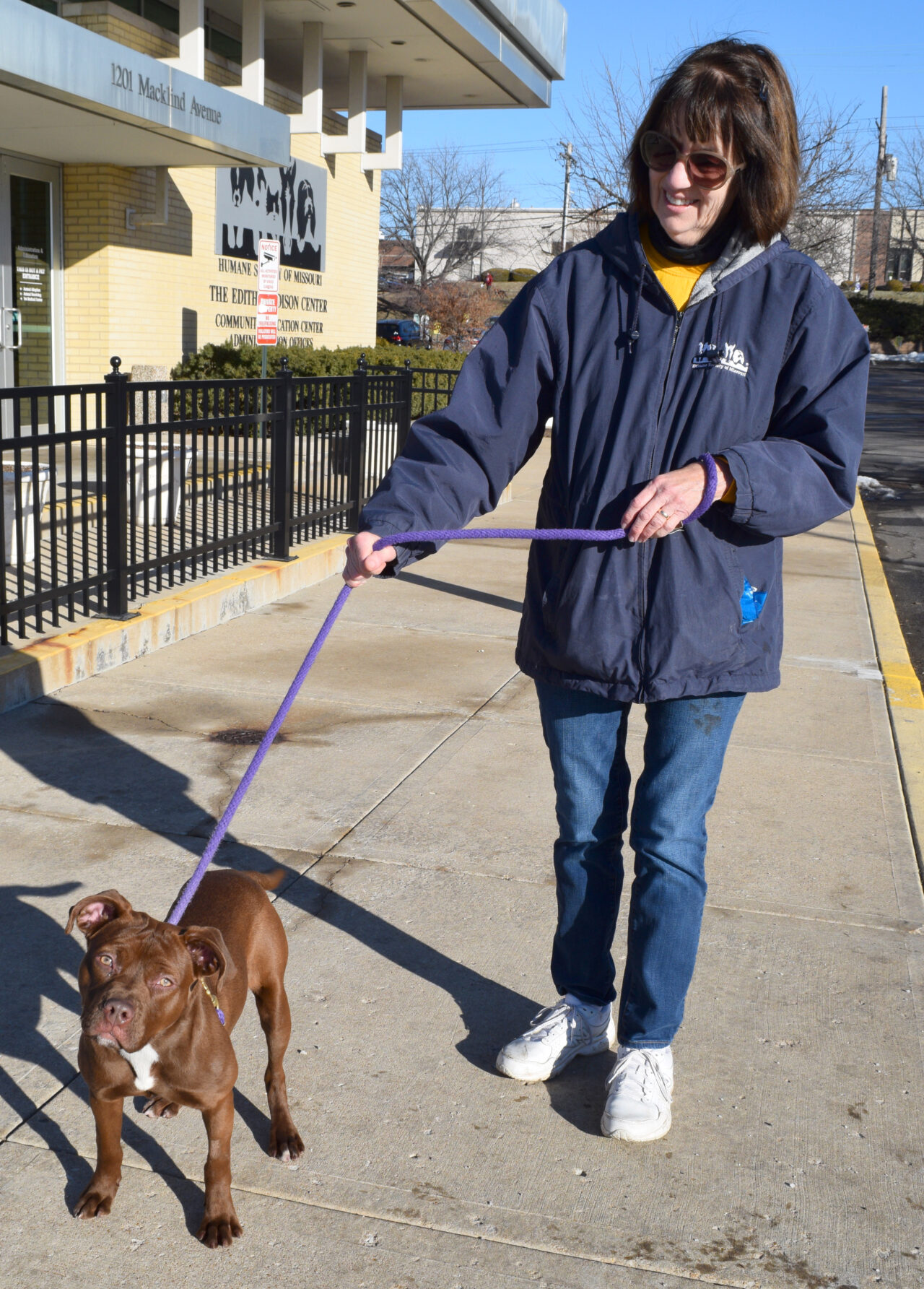 No Dope for Dogs: Cannabis Toxicity in Pets & How to Avoid It| Humane ...