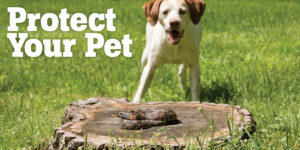 Operation SNIP | Humane Society of Missouri