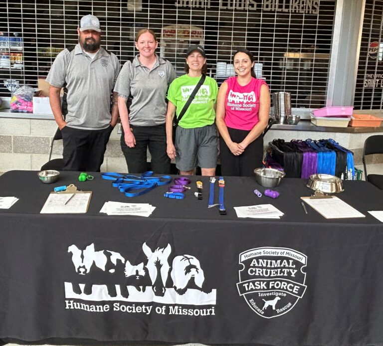 Animal Cruelty Task Force Responding to Areas Affected by May 16 ...
