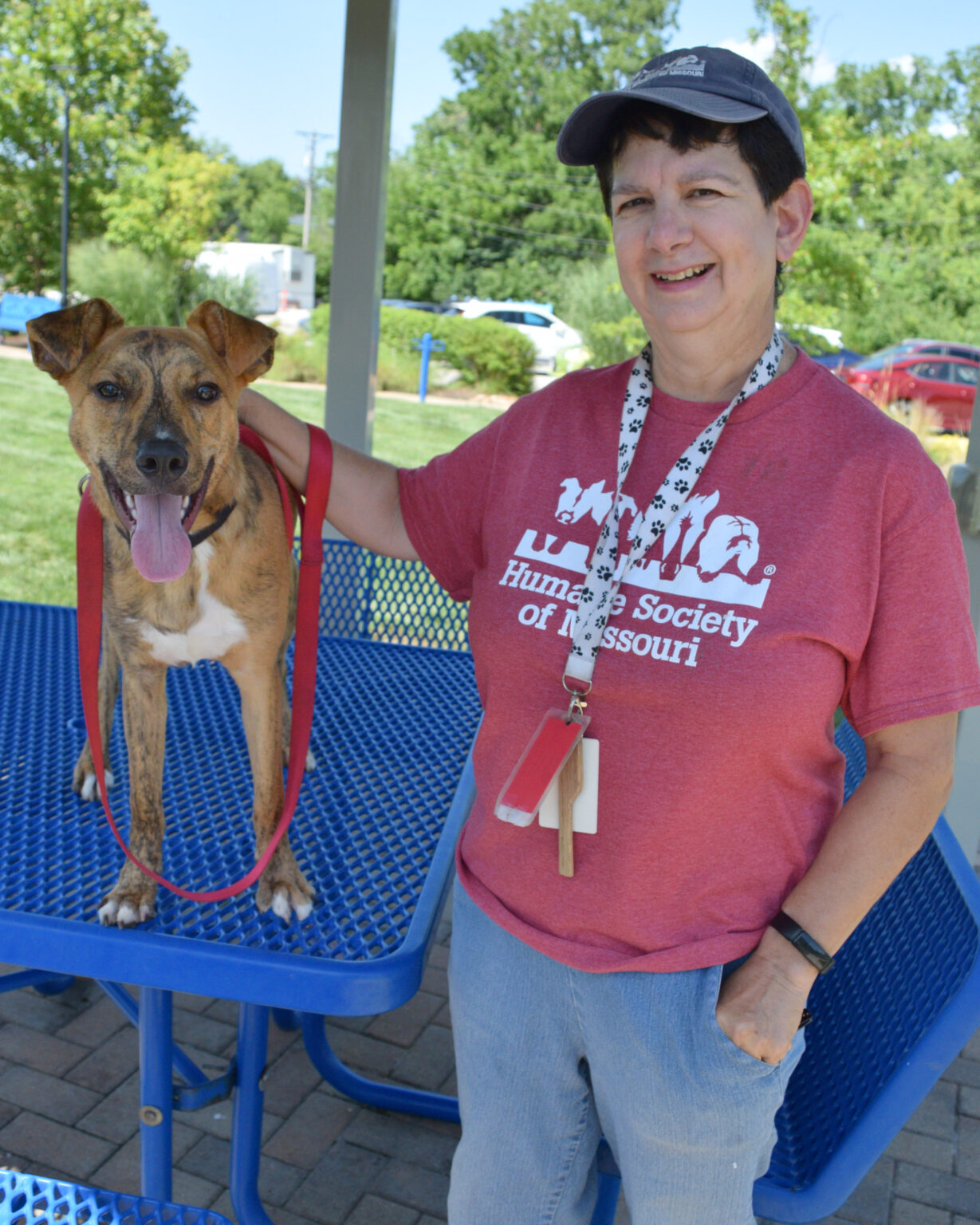Animal Surrendering | Humane Society of Missouri